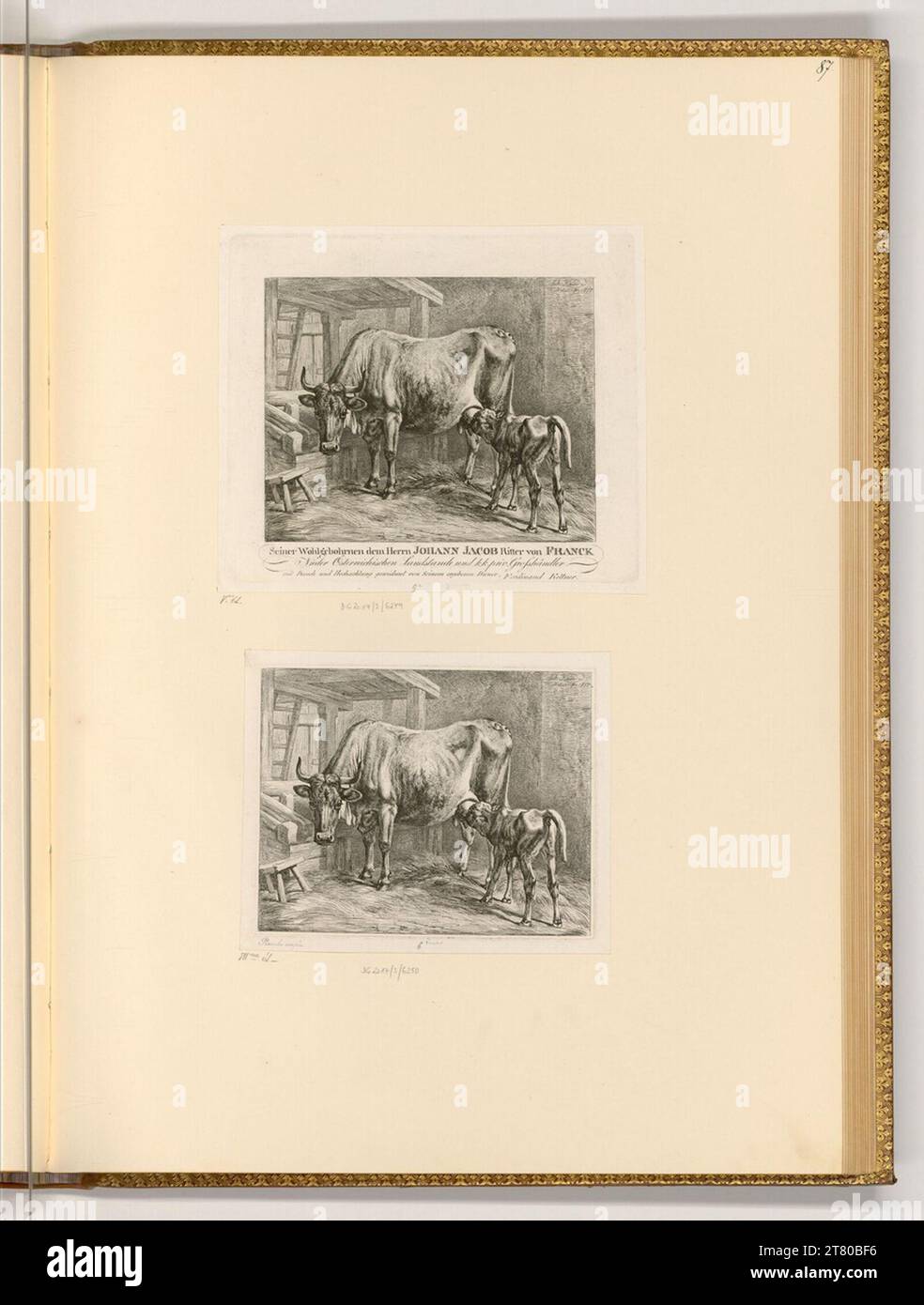 Johann Adam Klein (Ausführende r Künstler in) Cow with calf in a stable ...