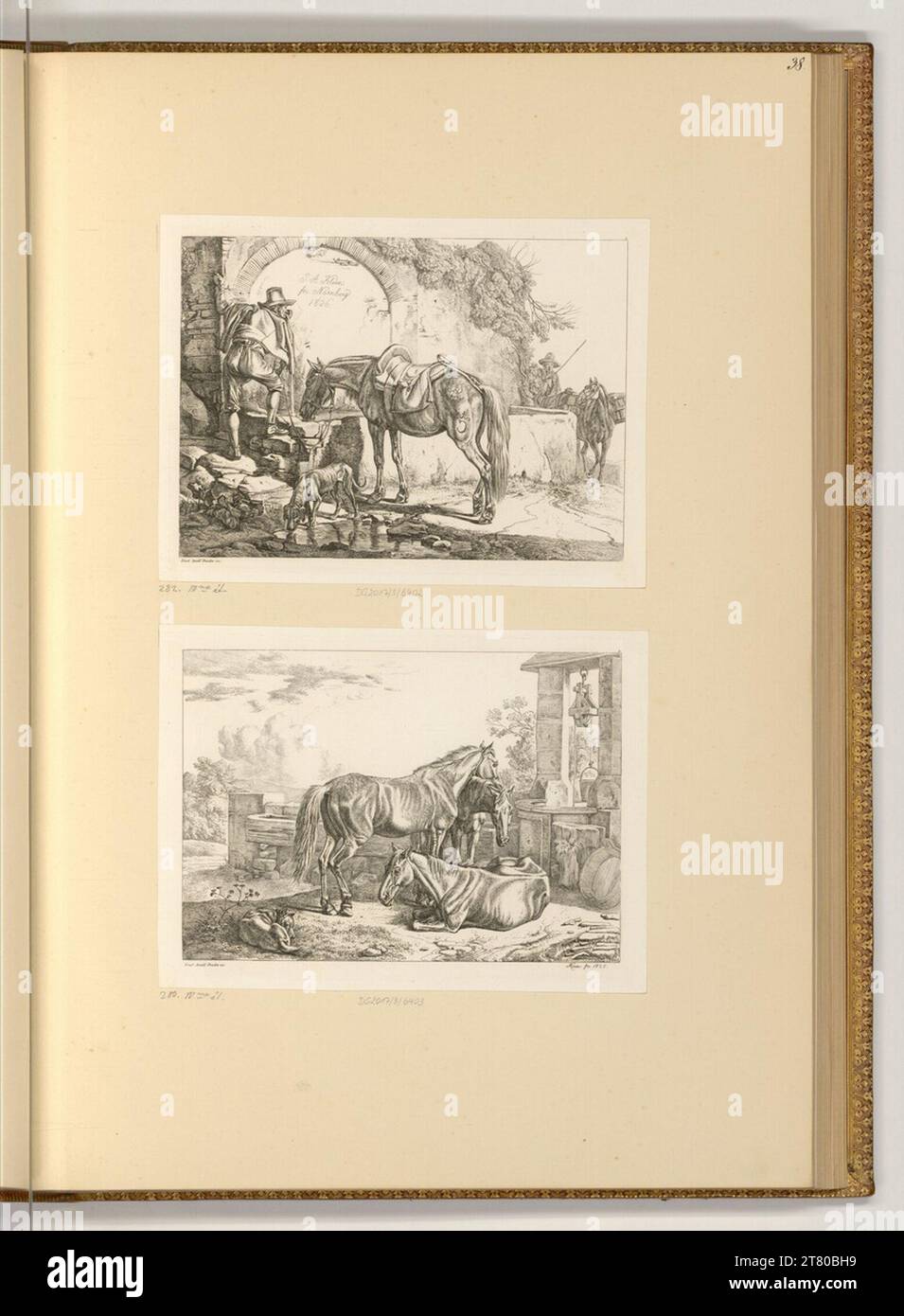 Johann Adam Klein (Ausführende r Künstler in) Horses on a fountain ...