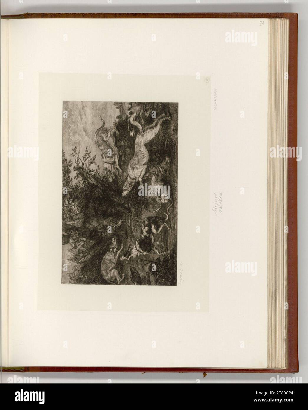 William Unger (Engraver) Eber hunt. etching 1886 , 1886 Stock Photo - Alamy