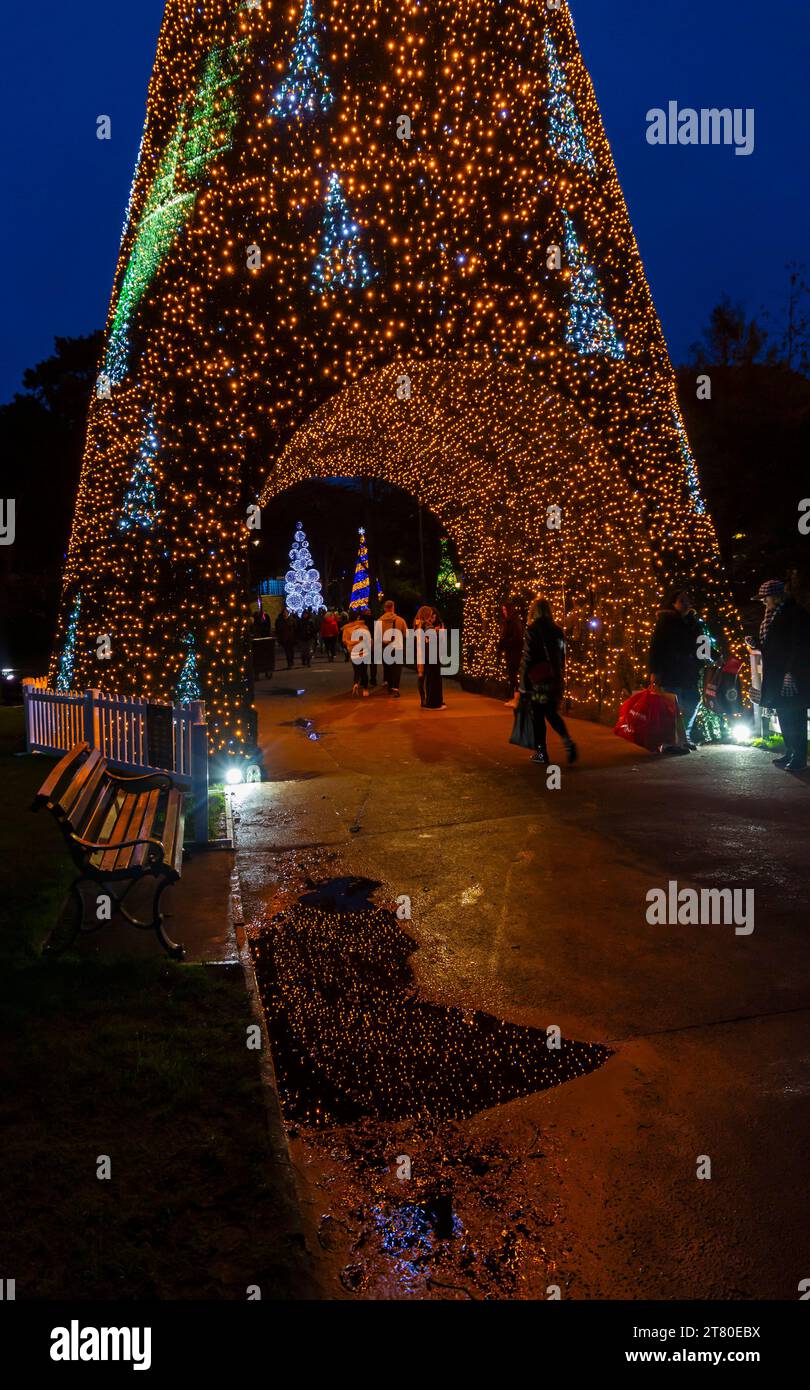 Walkthrough trees hi-res stock photography and images - Alamy