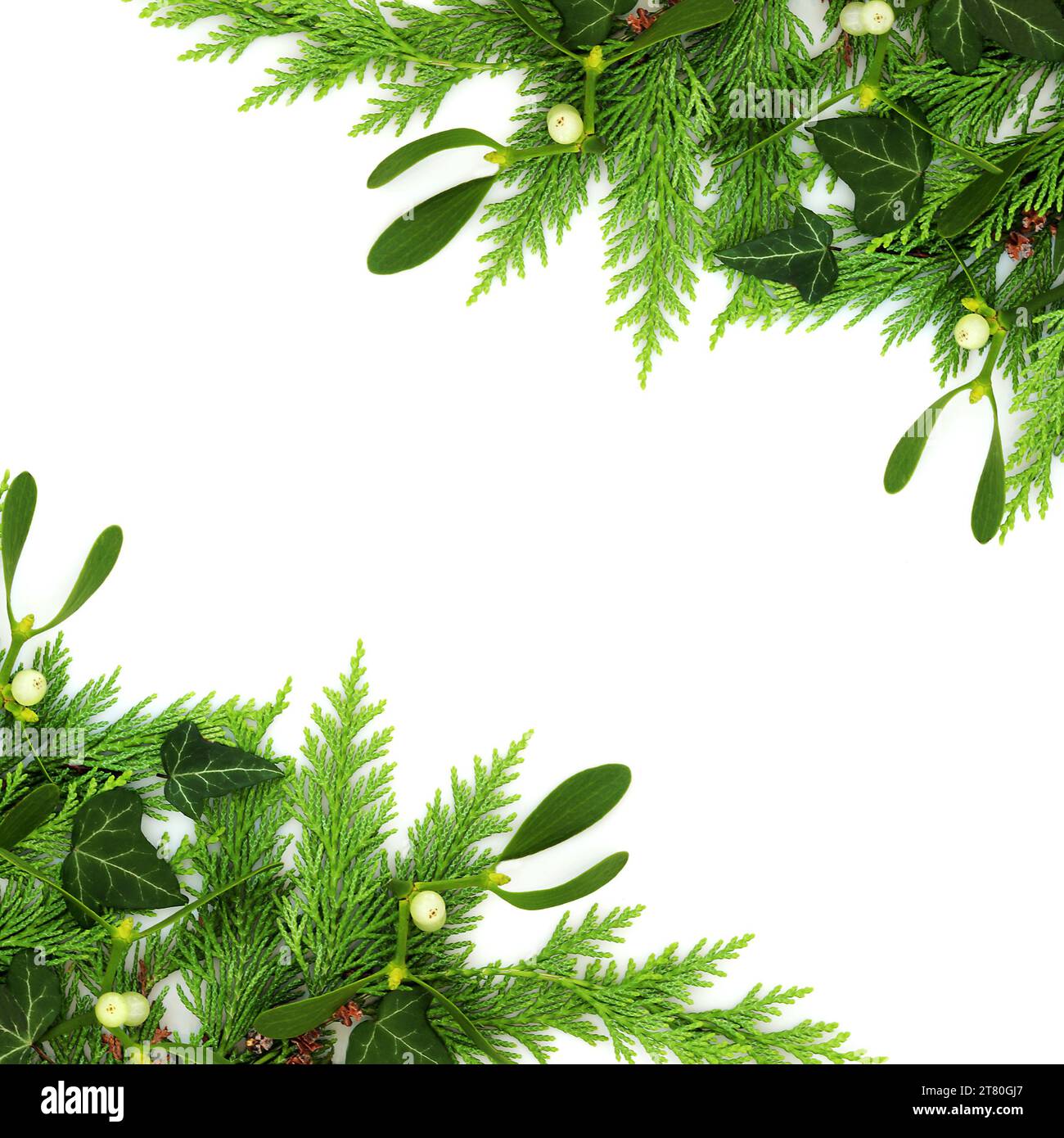 Winter christmas greenery border hi-res stock photography and images ...