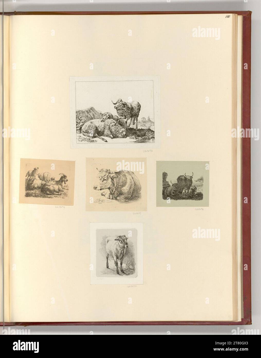 Johann Heinrich Roos Farm animals. etching 18.-Mitte 19. Century Stock ...