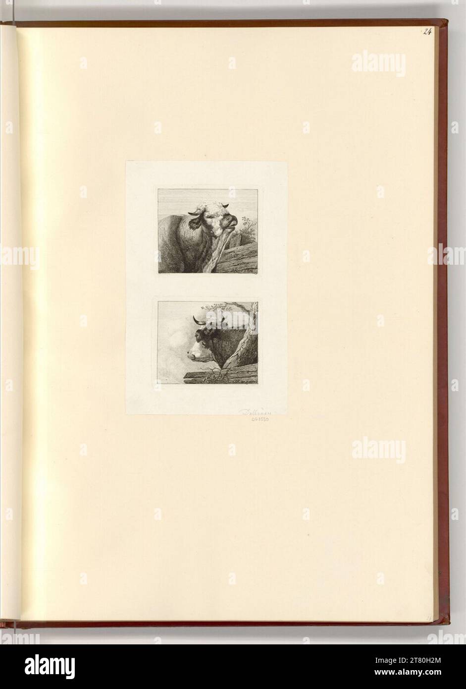 Johann Heinrich Roos Bovine. etching 18.-Mitte 19. Century Stock Photo ... Johann Heinrich Roos Bovine. etching 18.-Mitte 19. Century Stock Photo ...