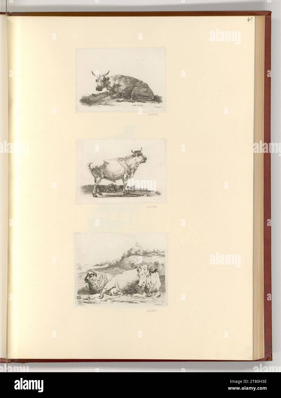 Johann Heinrich Roos Bovine. etching 1778-1826 , 1778/1826 Stock Photo ... Johann Heinrich Roos Bovine. etching 1778-1826 , 1778/1826 Stock Photo ...