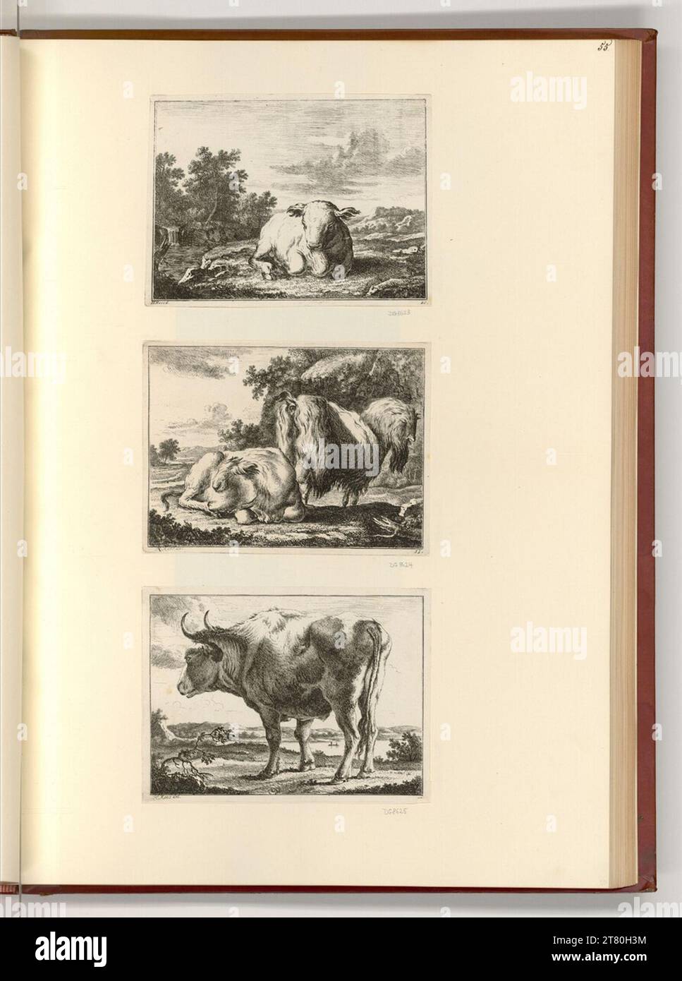 Johann Heinrich Roos Farm animals. etching 18.-Mitte 19. Century Stock ...