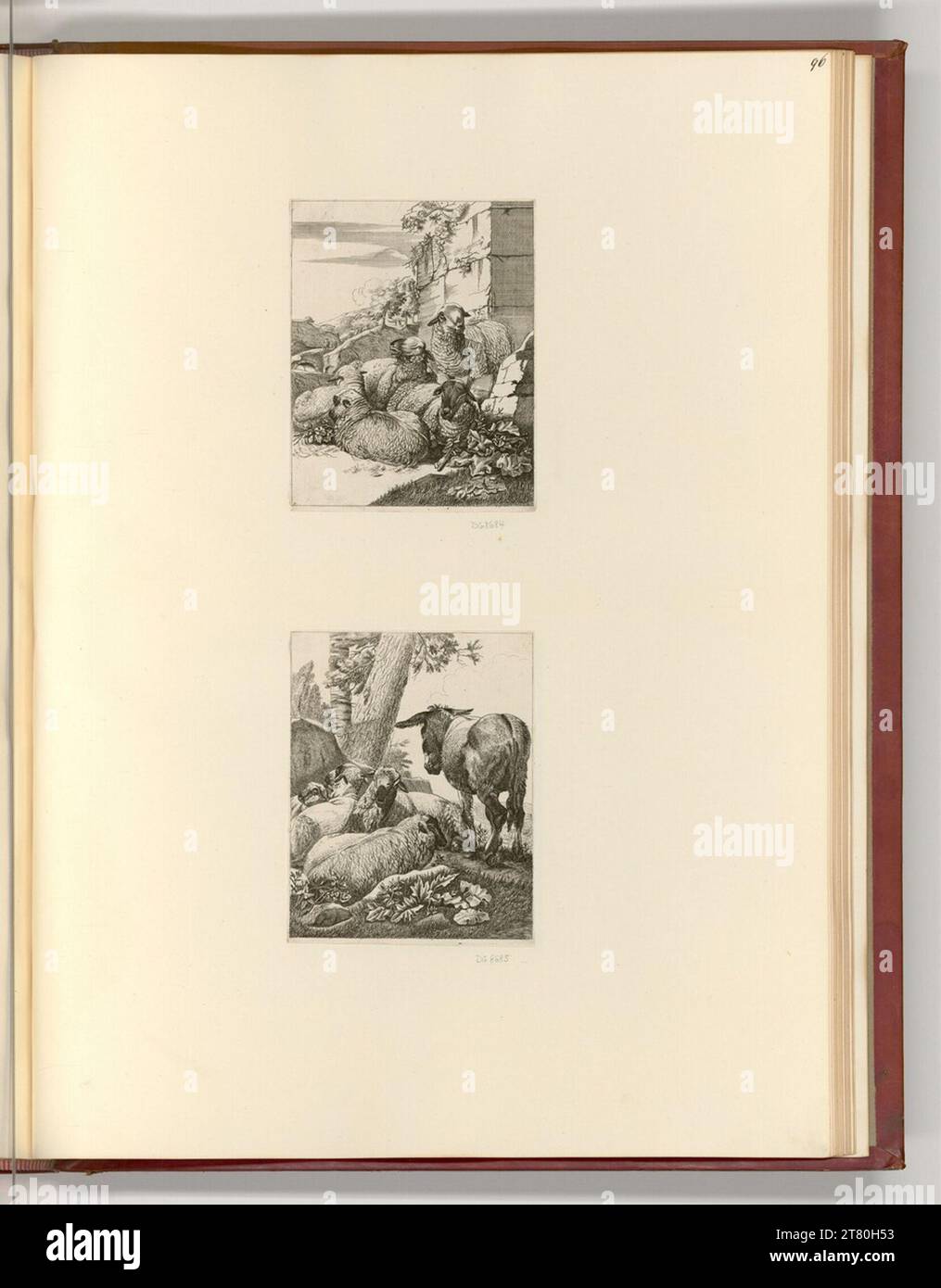 Johann Heinrich Roos Farm animals. etching 1678-1724 , 1678/1724 Stock ...