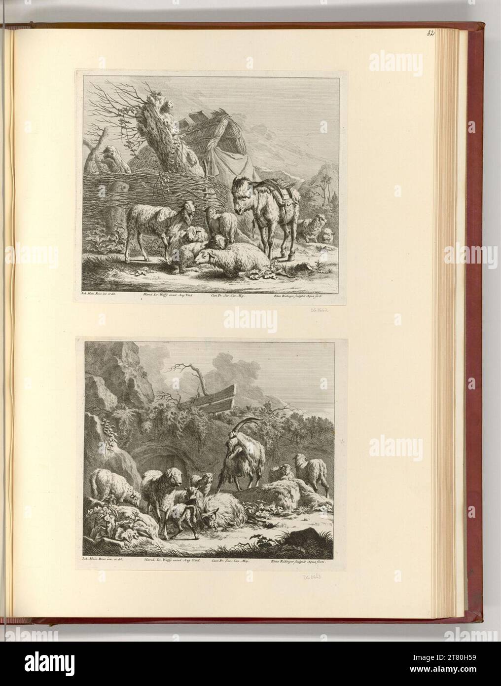 Johann Heinrich Roos Farm animals. etching 1713-1767 , 1713/1767 Stock ...