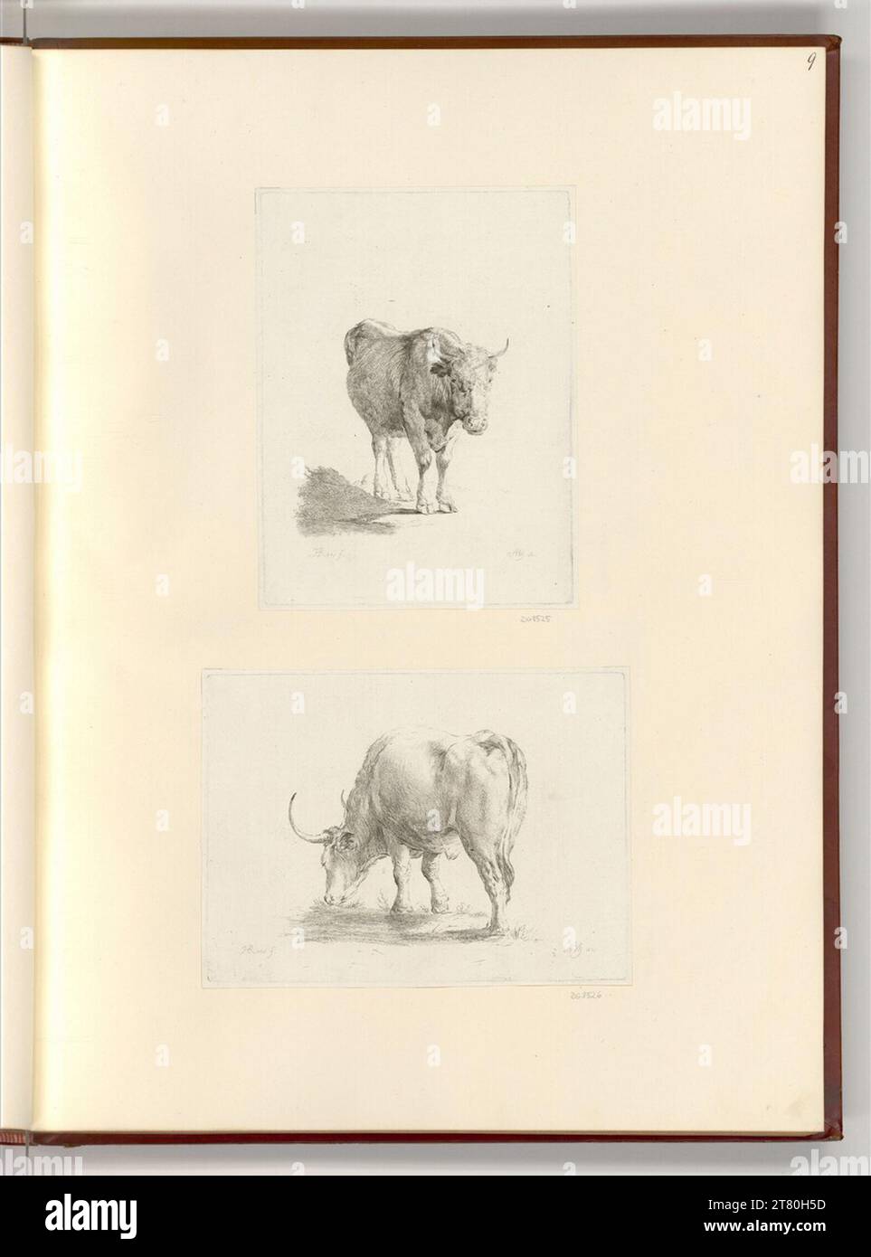 Johann Heinrich Roos Bovine. etching 1791 , 1791 Stock Photo - Alamy Johann Heinrich Roos Bovine. etching 1791 , 1791 Stock Photo - Alamy