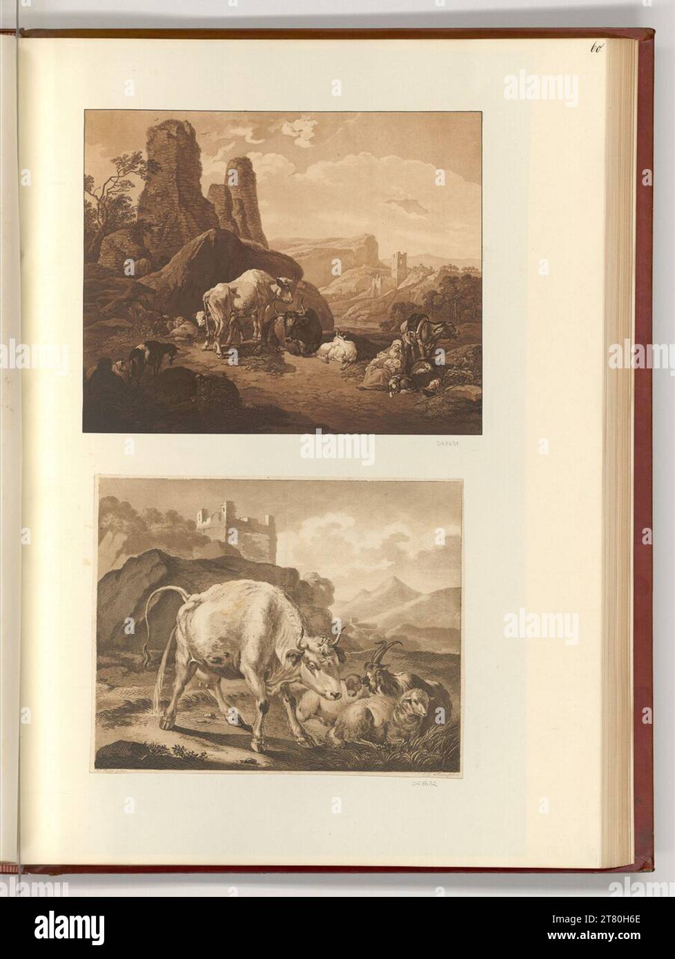 Johann Heinrich Roos Farm animals. Aquatinta 18.-Mitte 19. Century ...