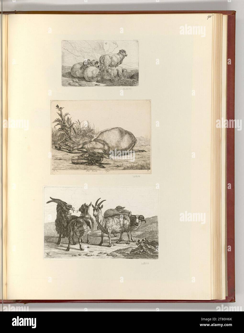 Johann Heinrich Roos Farm animals. etching 1701-1850 , 1701/1850 Stock ...