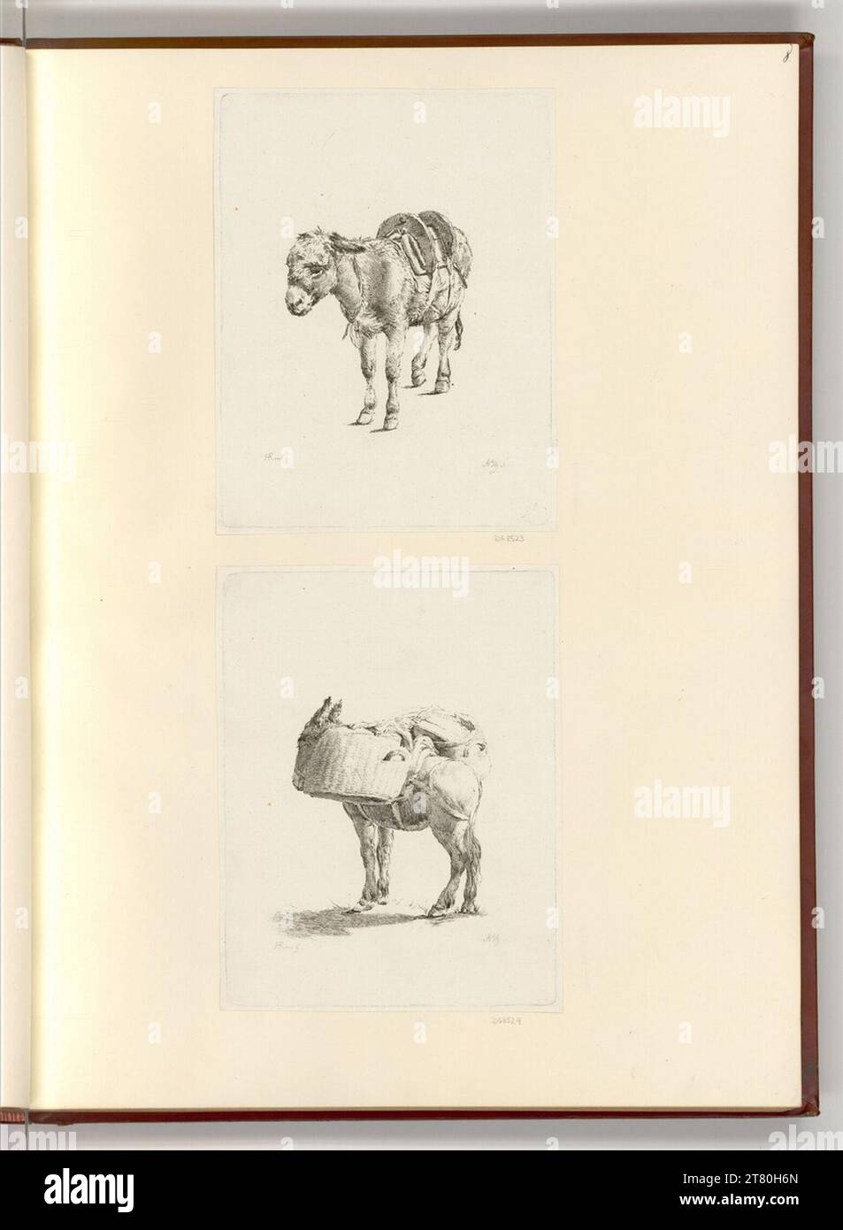 Johann Heinrich Roos Donkey. etching 1791 , 1791 Stock Photo - Alamy Johann Heinrich Roos Donkey. etching 1791 , 1791 Stock Photo - Alamy