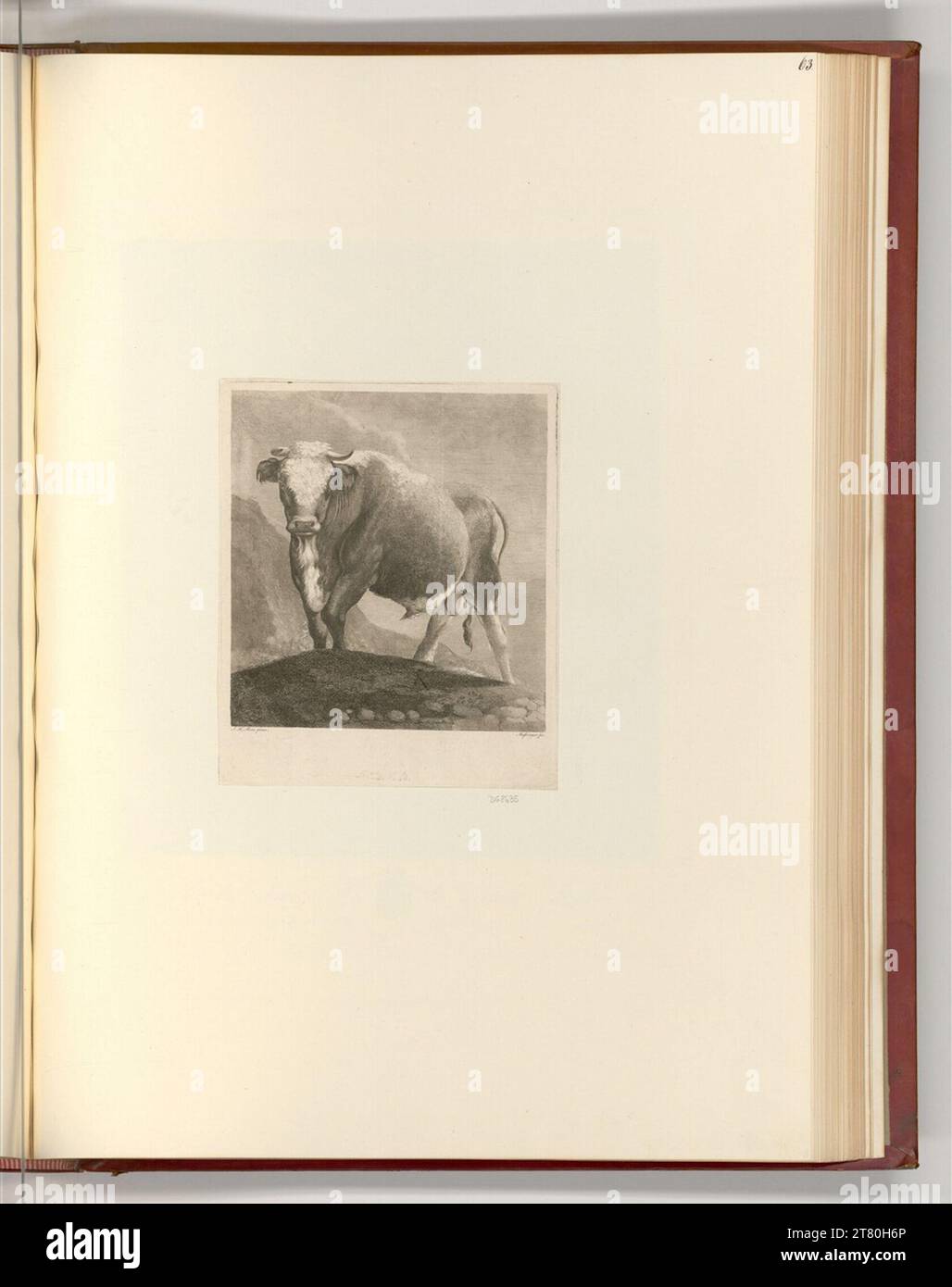 Johann Heinrich Roos Rind. etching 18.-Mitte 19. Century Stock Photo ... Johann Heinrich Roos Rind. etching 18.-Mitte 19. Century Stock Photo ...