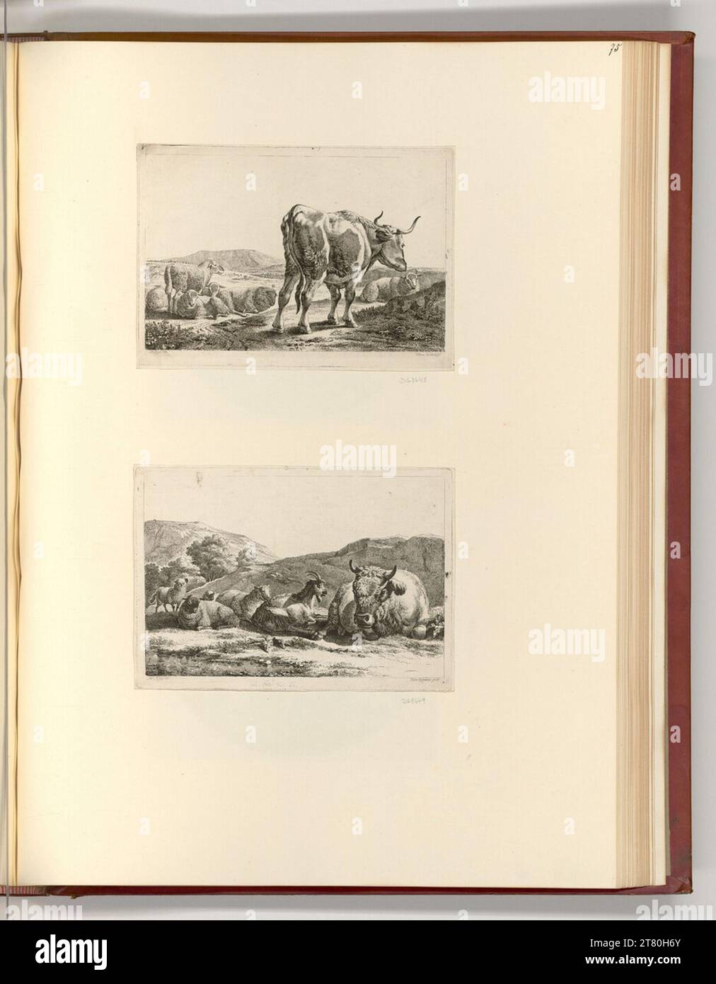 Johann Heinrich Roos Farm animals. etching 18.-Mitte 19. Century Stock ...