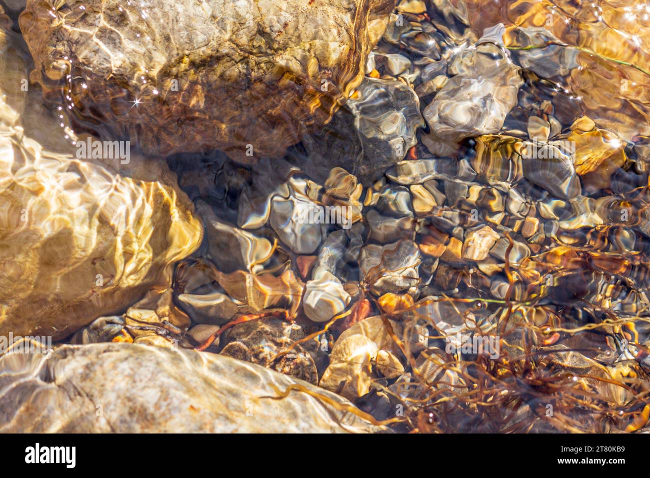 rocks and stone in water stream Stock Photo - Alamy