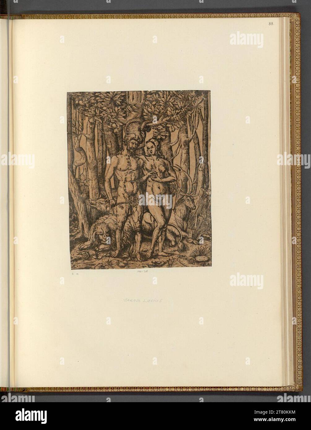 Jacob Lucius The fall. Clair OBSCUR woodcut in two plates (brown) 1530 ...