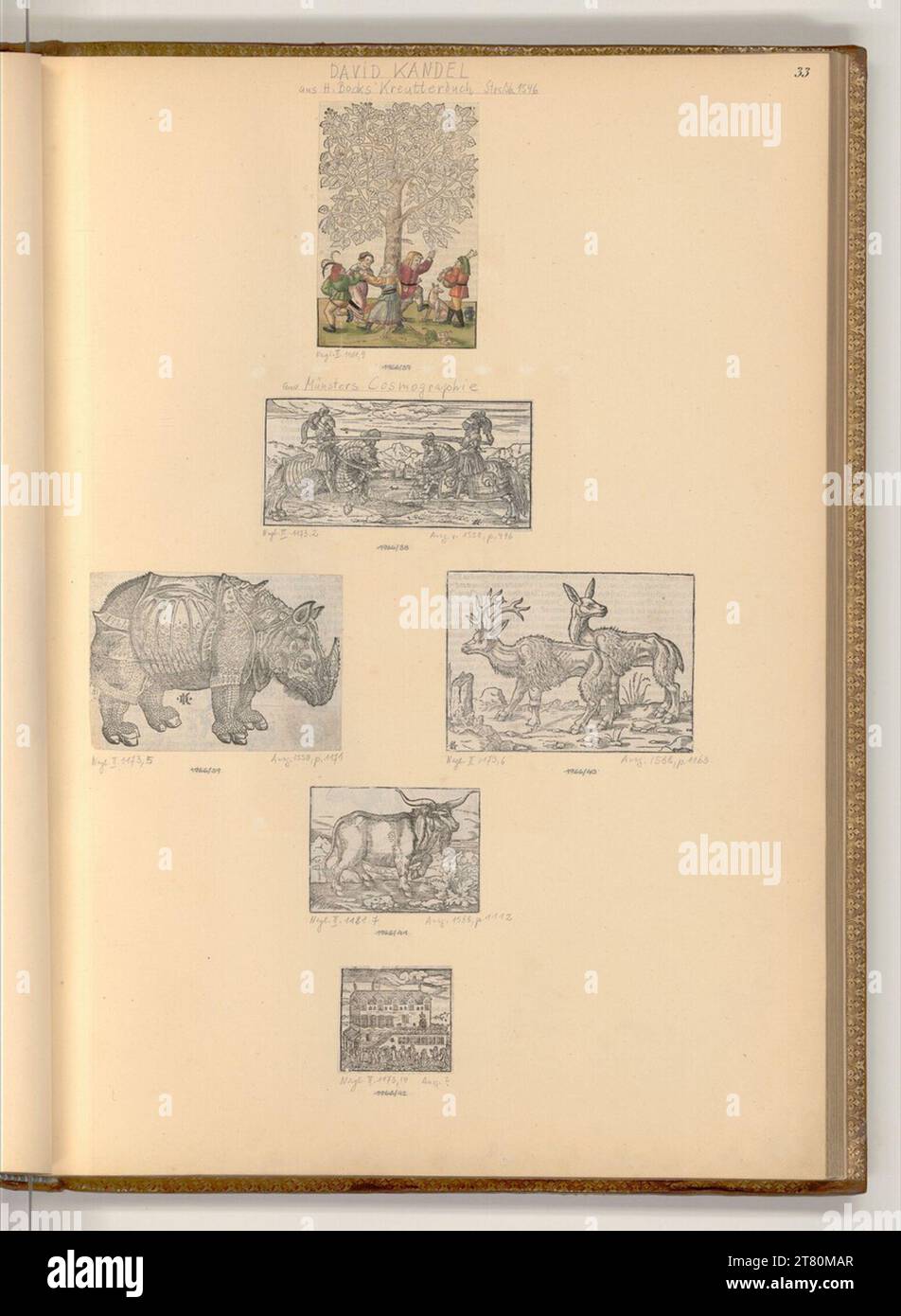 David Kandel Linden tree; Animals; View of the Paris Parliament ...