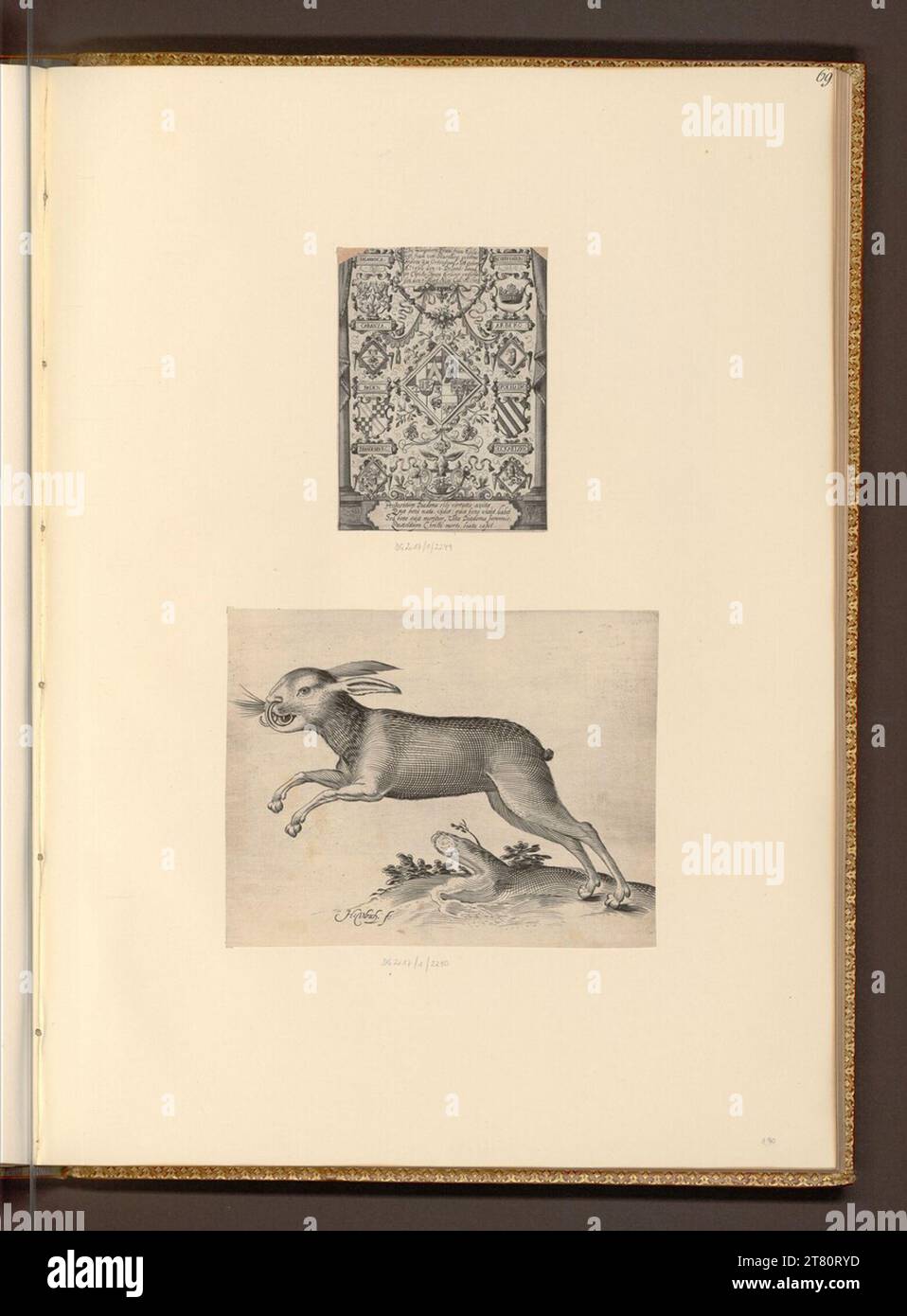 Countess of hare hi-res stock photography and images - Alamy