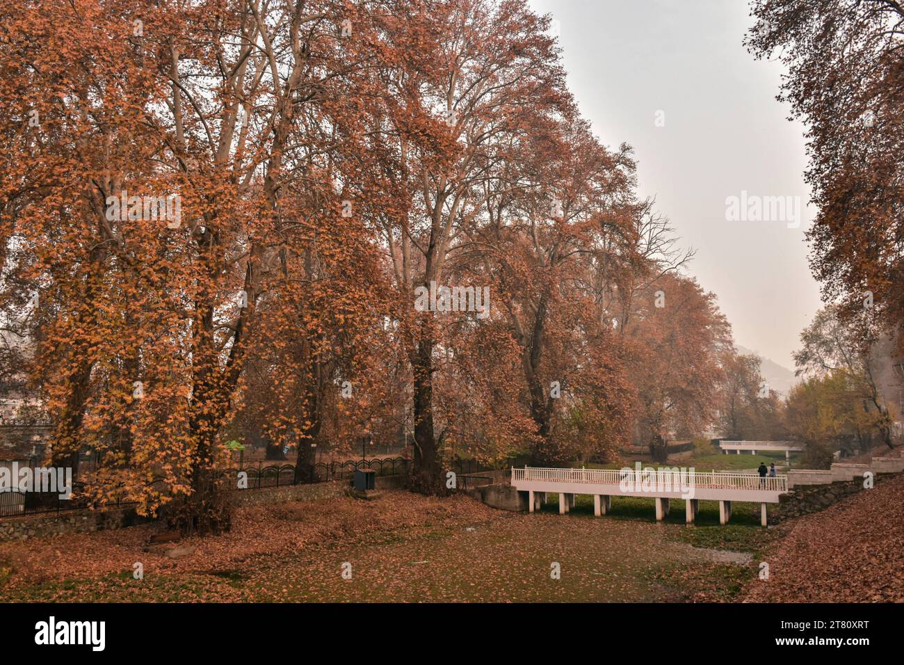 Srinagar, India. 17th Nov, 2023. Visitors walk through a wooden foot ...