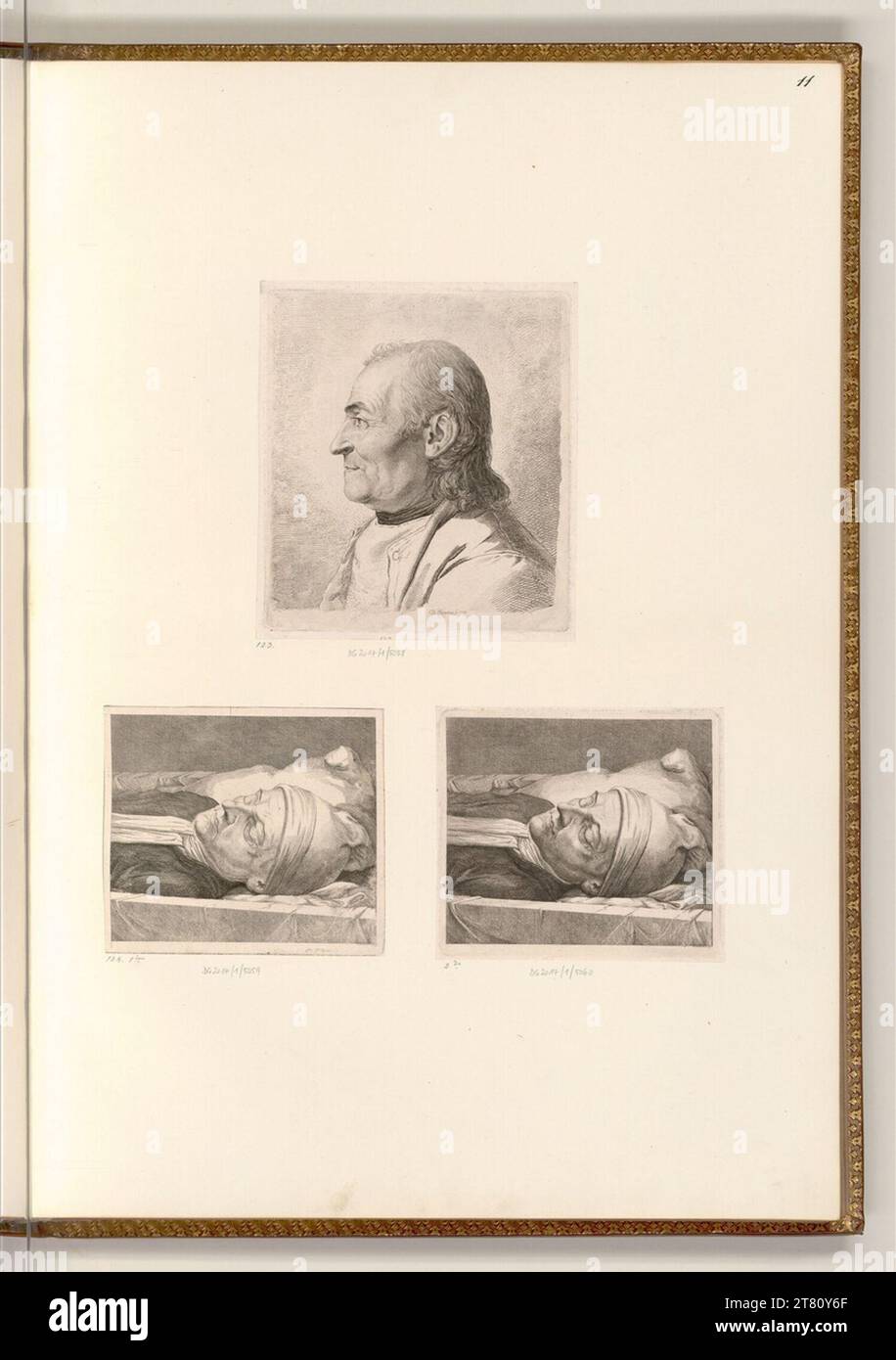 Daniel Nikolaus Chodowiecki (Engraver) Leaves to Lavater's physiognomic ...