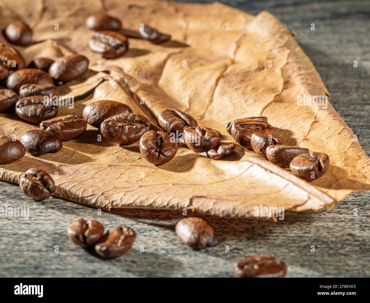 Coffee theme. Roasted coffee beans on dry almond leaf Stock Photo - Alamy