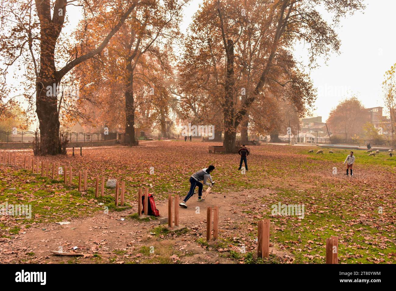 Srinagar, India. 17th Nov, 2023. Kashmiri boys play cricket inside a ...