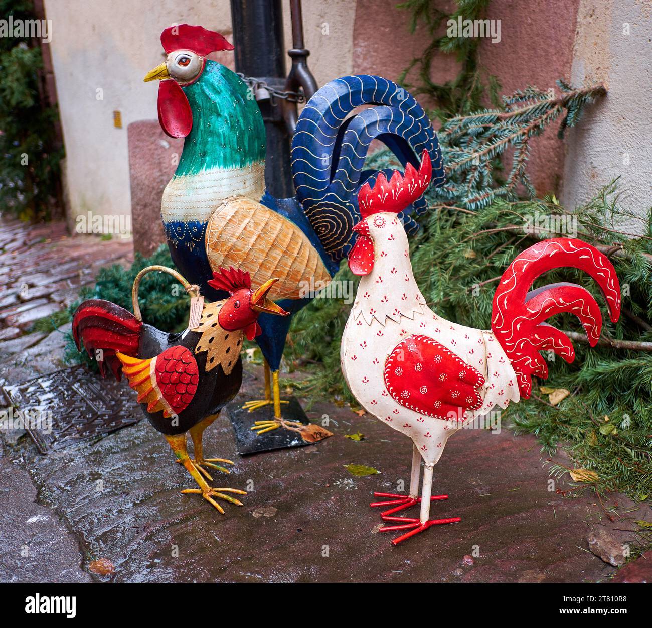 French roosters hi-res stock photography and images - Alamy