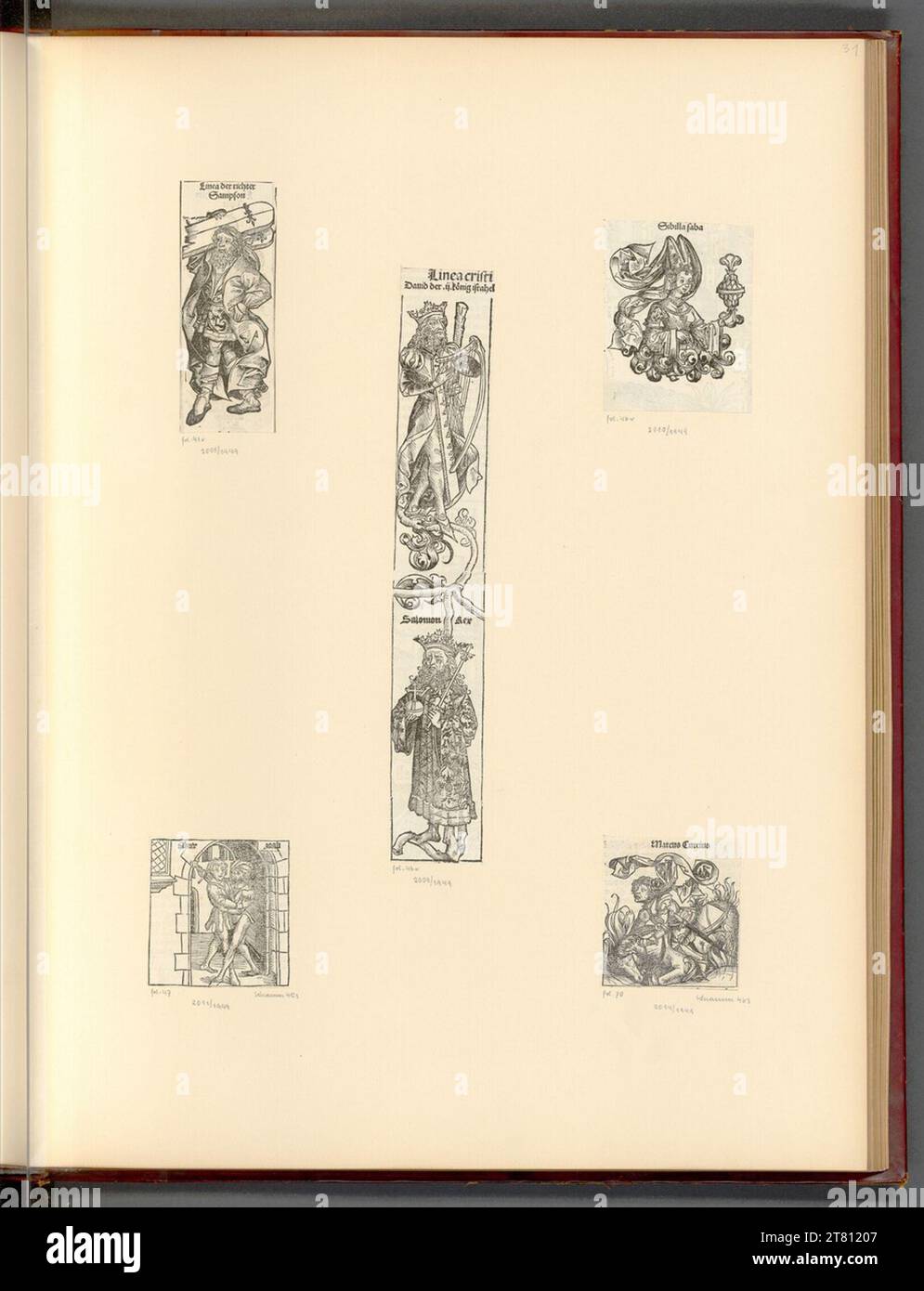 Hartmann Schedel (Verfasser in) Schedel, Hartmann: Weltchronik ...