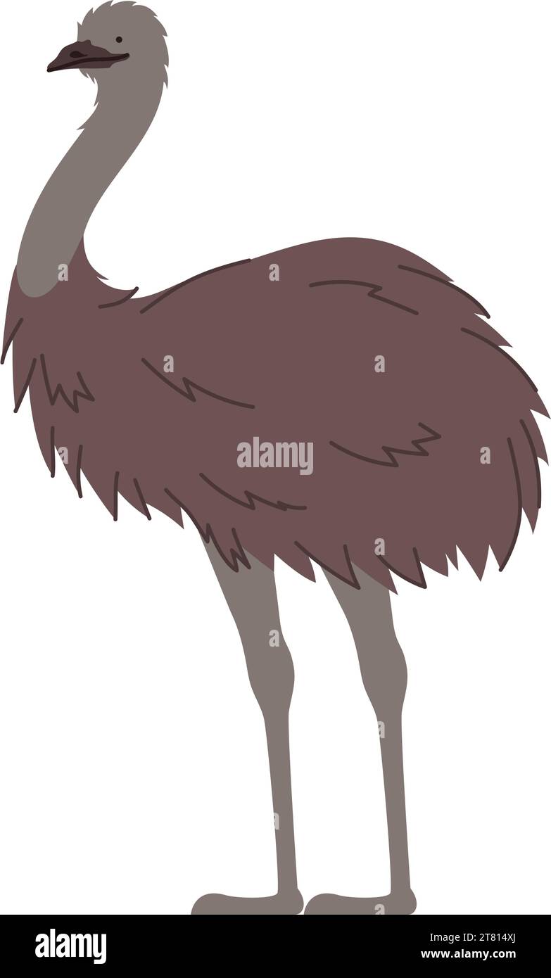 australian emu animal Stock Vector Image & Art - Alamy
