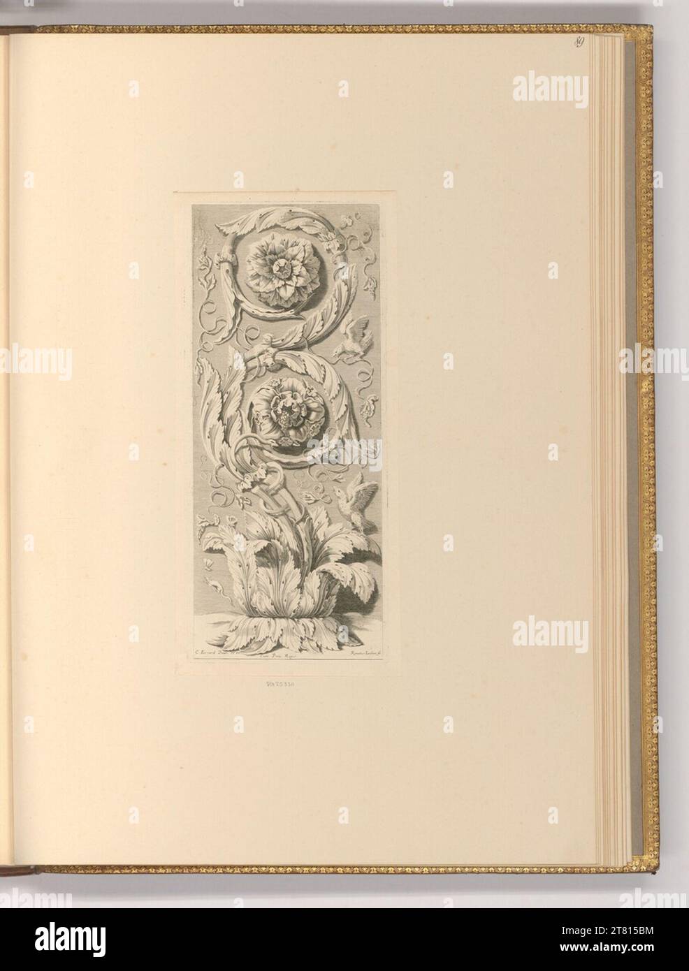 René Lochon (Engraver) Plant ornament. Copper engraving print 1651 ...