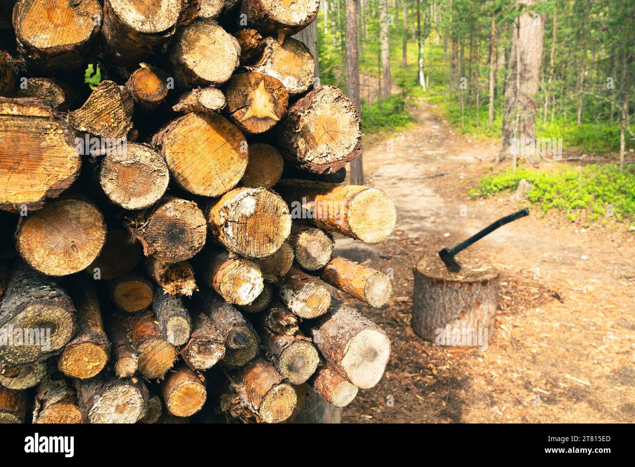 A pile of logs and a large axe are available for free for hikers to use ...