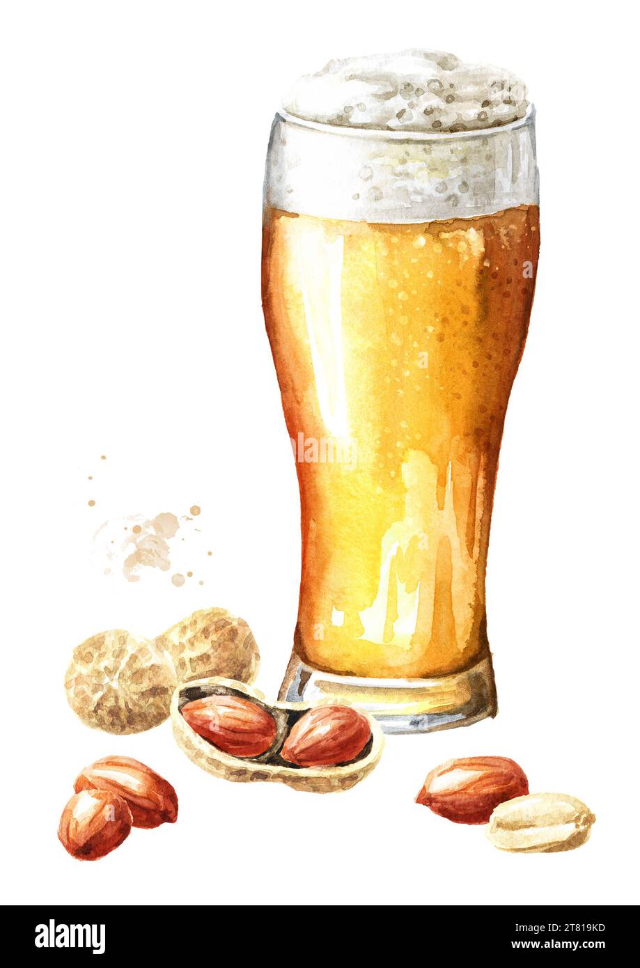 Glass of beer served with peanuts, Hand drawn watercolor illustration ...