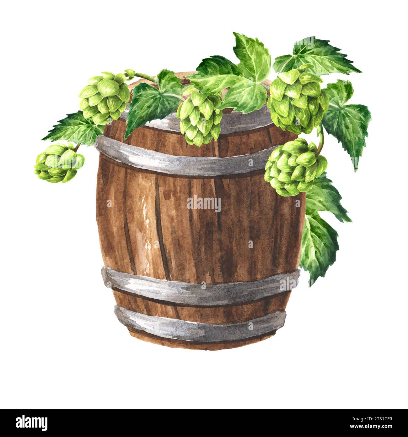 Wooden Barrel With Beer And Fresh Green Hop Branch Hand Drawn