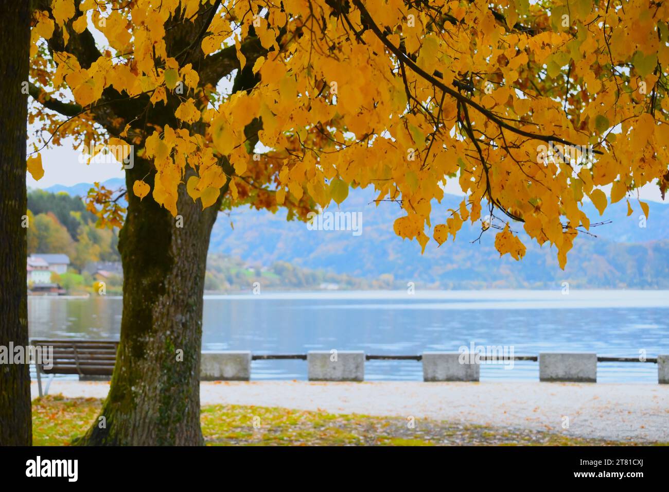 Austria in autum hi-res stock photography and images - Alamy