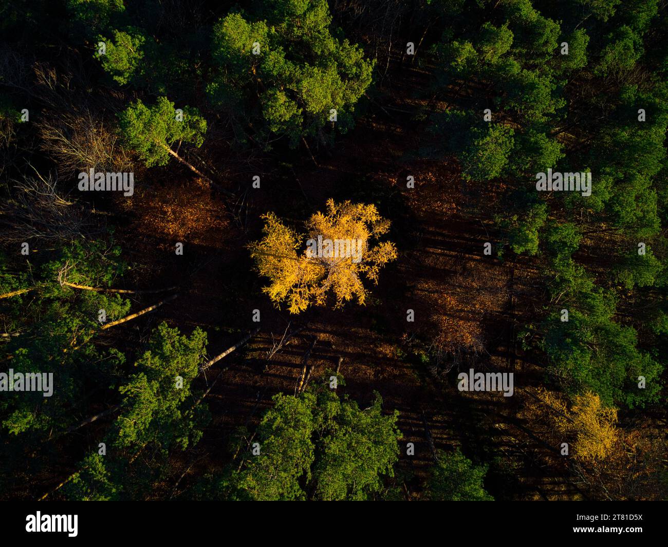 Elevate your senses with this mesmerizing drone capture, offering a ...