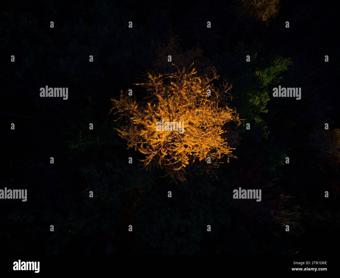 High contrast golden hour drone hi-res stock photography and images - Alamy