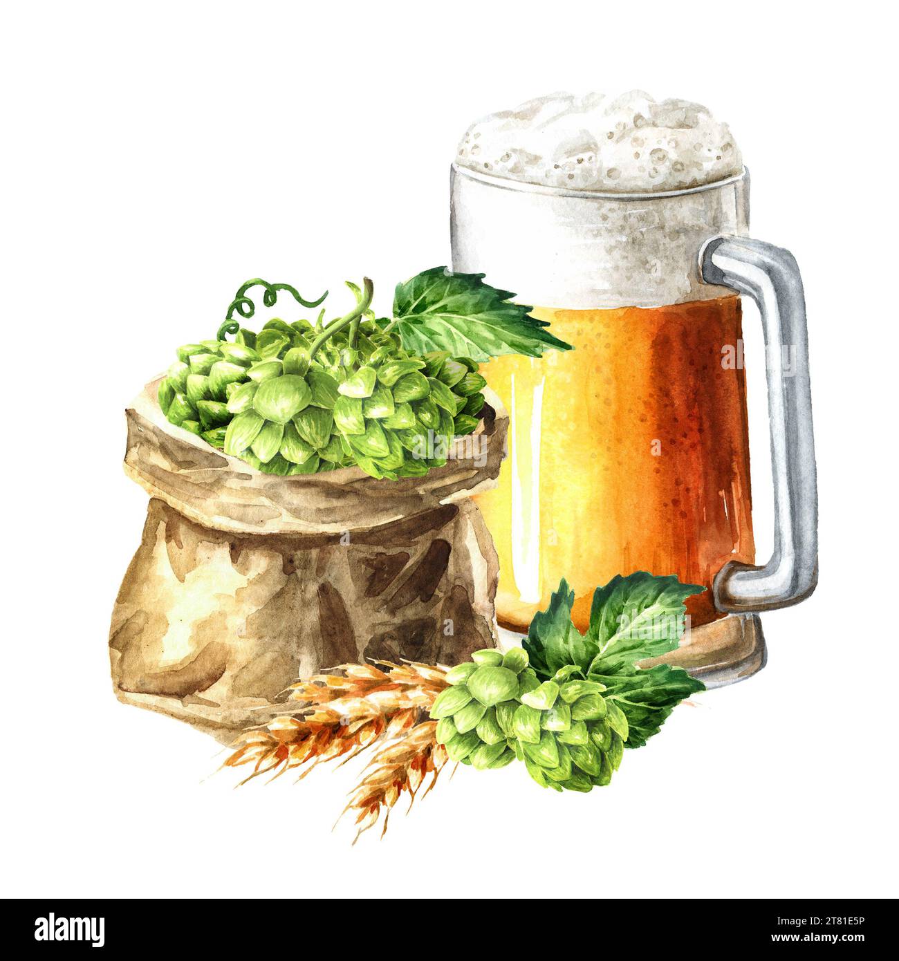 Mug of Light beer and Fresh green hops. Hand drawn watercolor ...