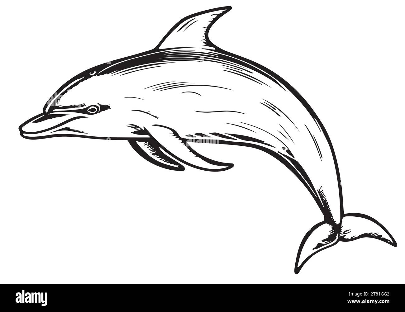 Dolphin hand drawn sketch Vector illustration Sea animals Stock Vector ...