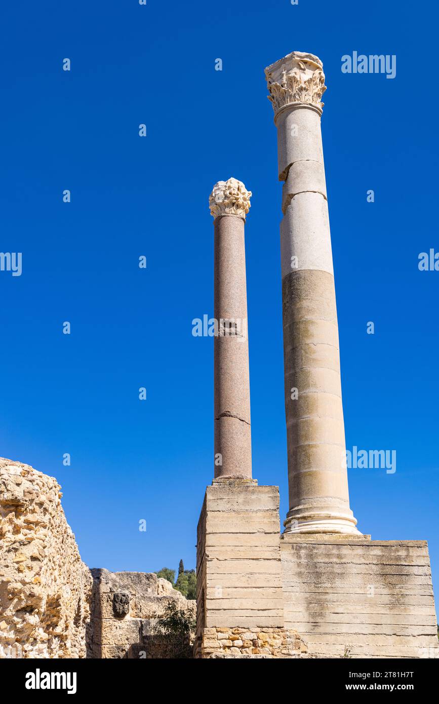 Baths of Antoninus, Carthage, Tunis, Tunisia. Roman ruins of the Baths ...