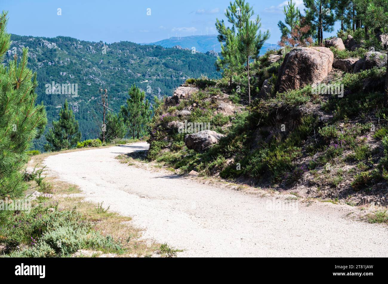 Trilho da silha dos ursos hi-res stock photography and images - Alamy