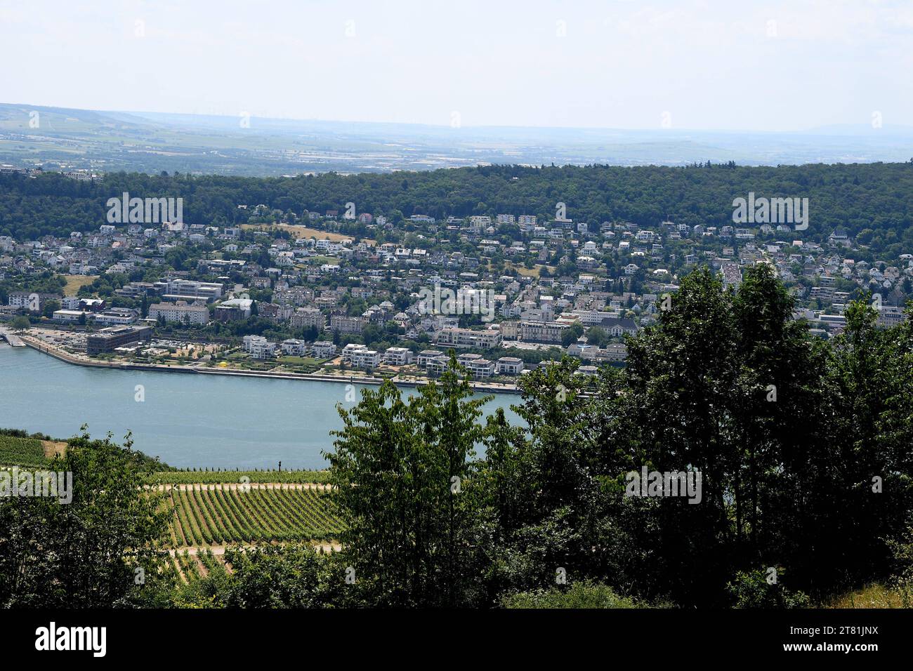 16 June 2023/View of wine fields and rhein rivers Rudesheim and over ...