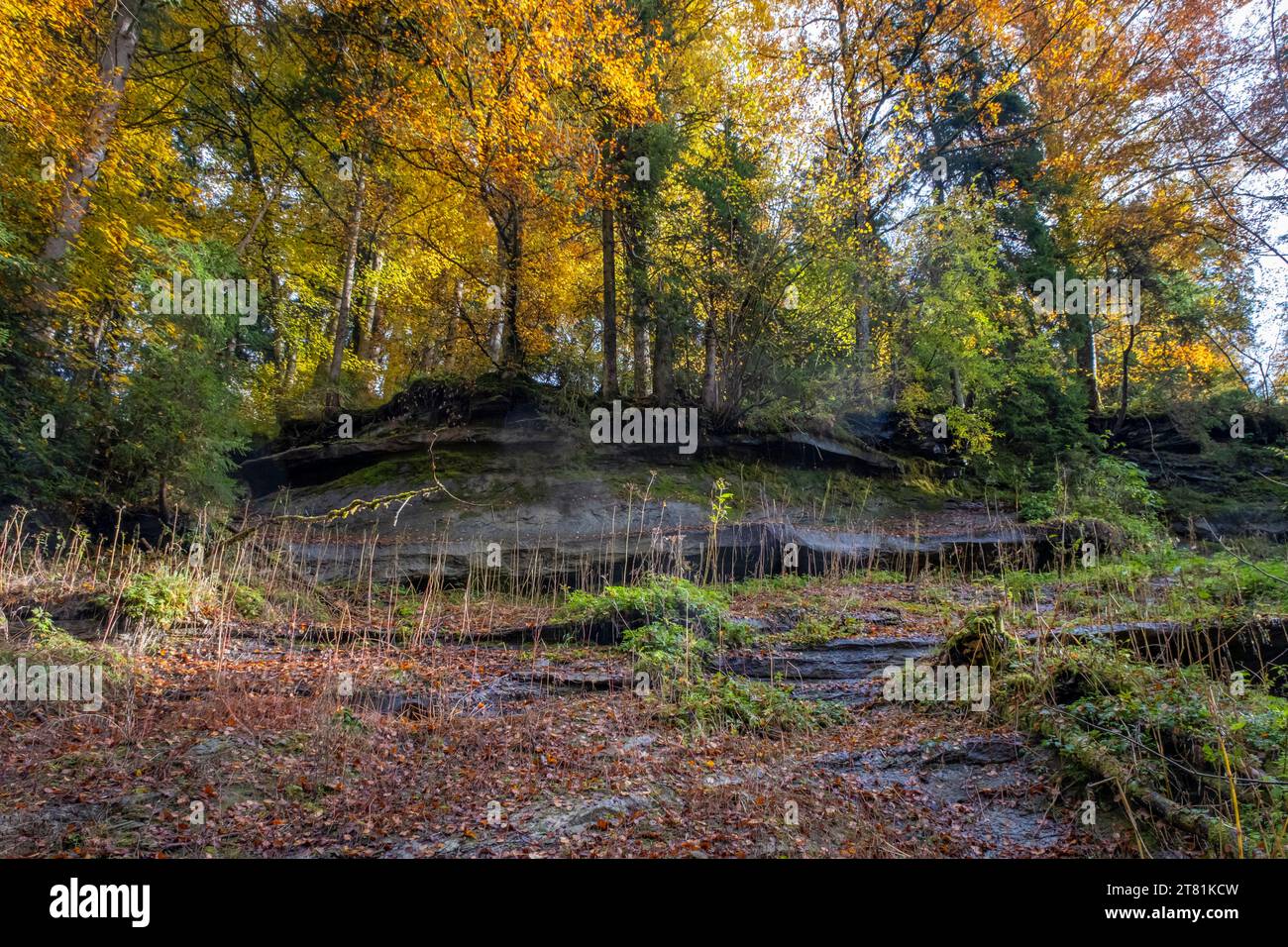 walking through the local recreation area Hausbachklamm near Weiler im ...