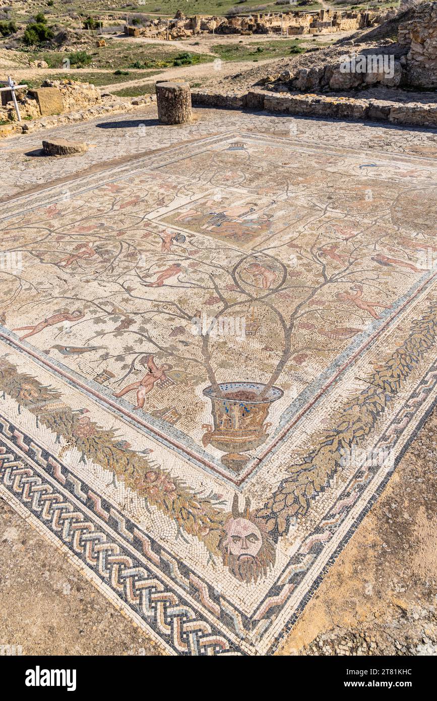 Uthina, Ben Arous, Tunisia. Roman mosaic floor with a satyr and grape ...