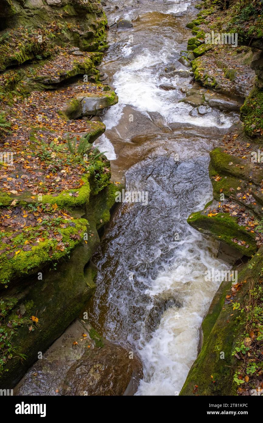 walking through the local recreation area Hausbachklamm near Weiler im ...