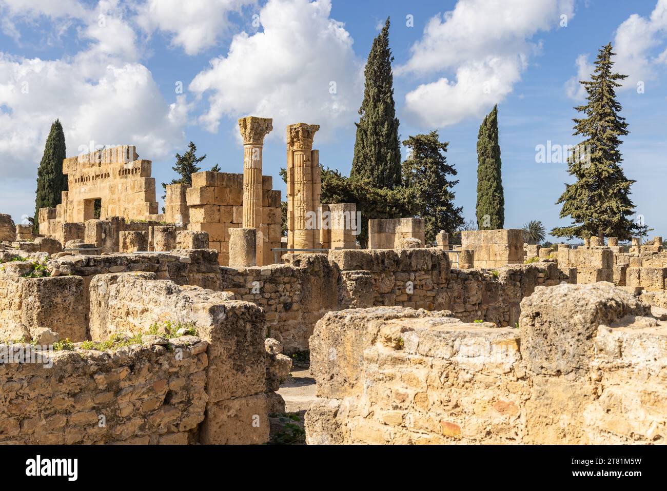 Utique tunisia hi-res stock photography and images - Alamy