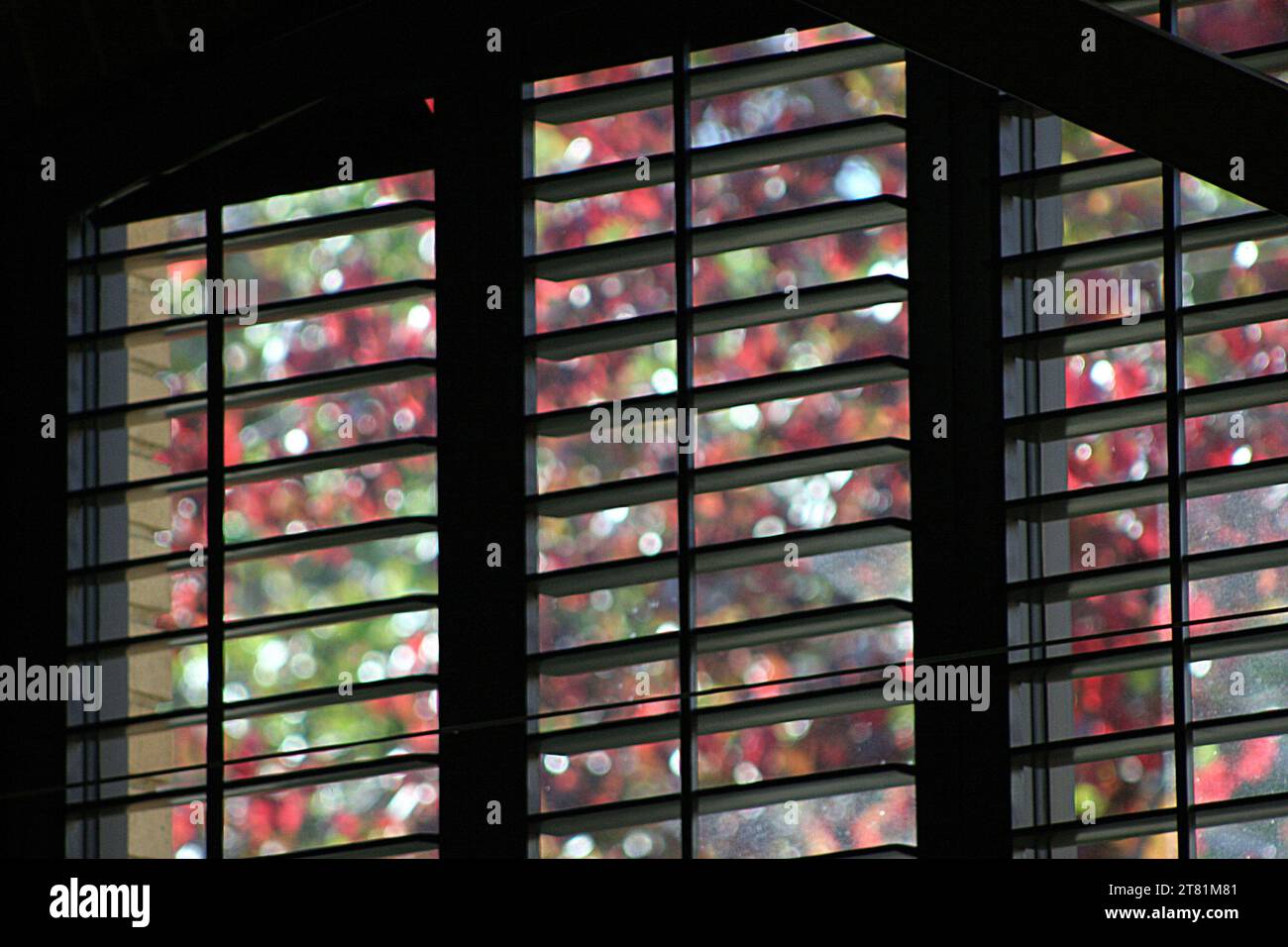 Soft green shutters hi-res stock photography and images - Alamy