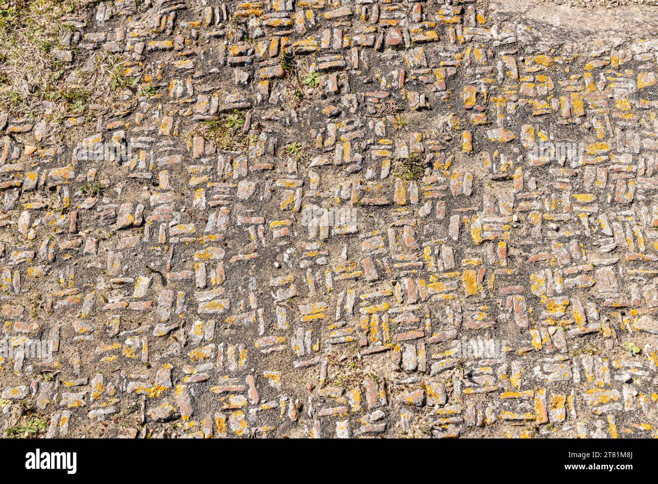 Utique, Bizerte, Tunisia. Roman paving bricks at the Utique ...