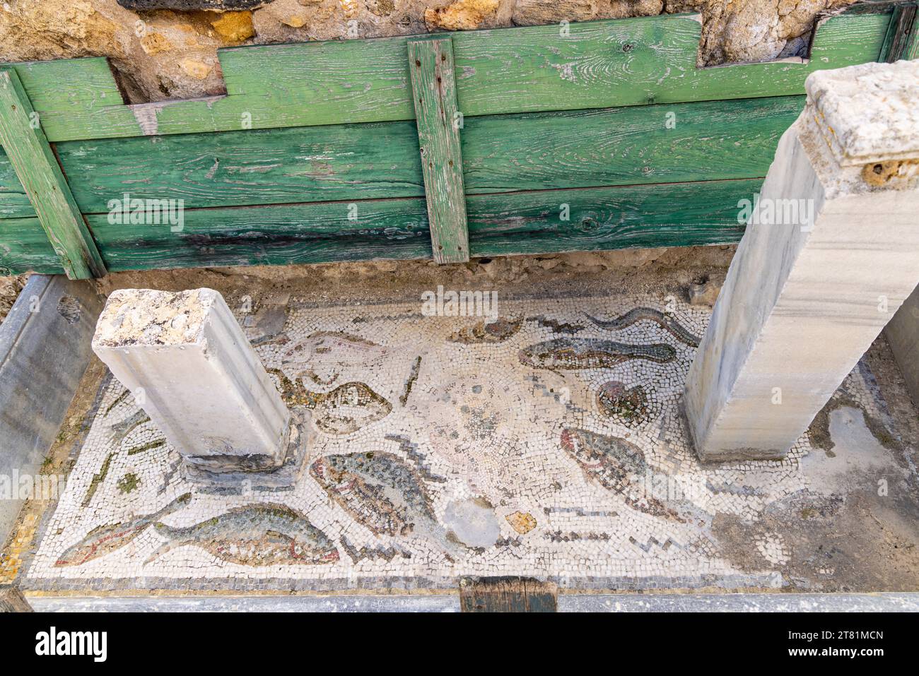 Mosaic people animals hi-res stock photography and images - Alamy