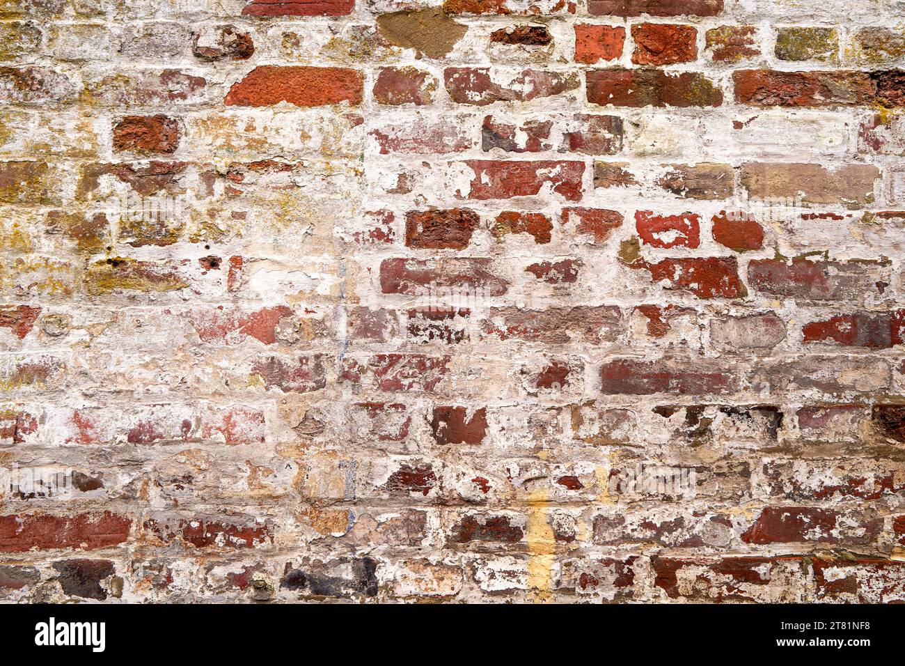 Old painted and distressed red brick wall Stock Photo - Alamy