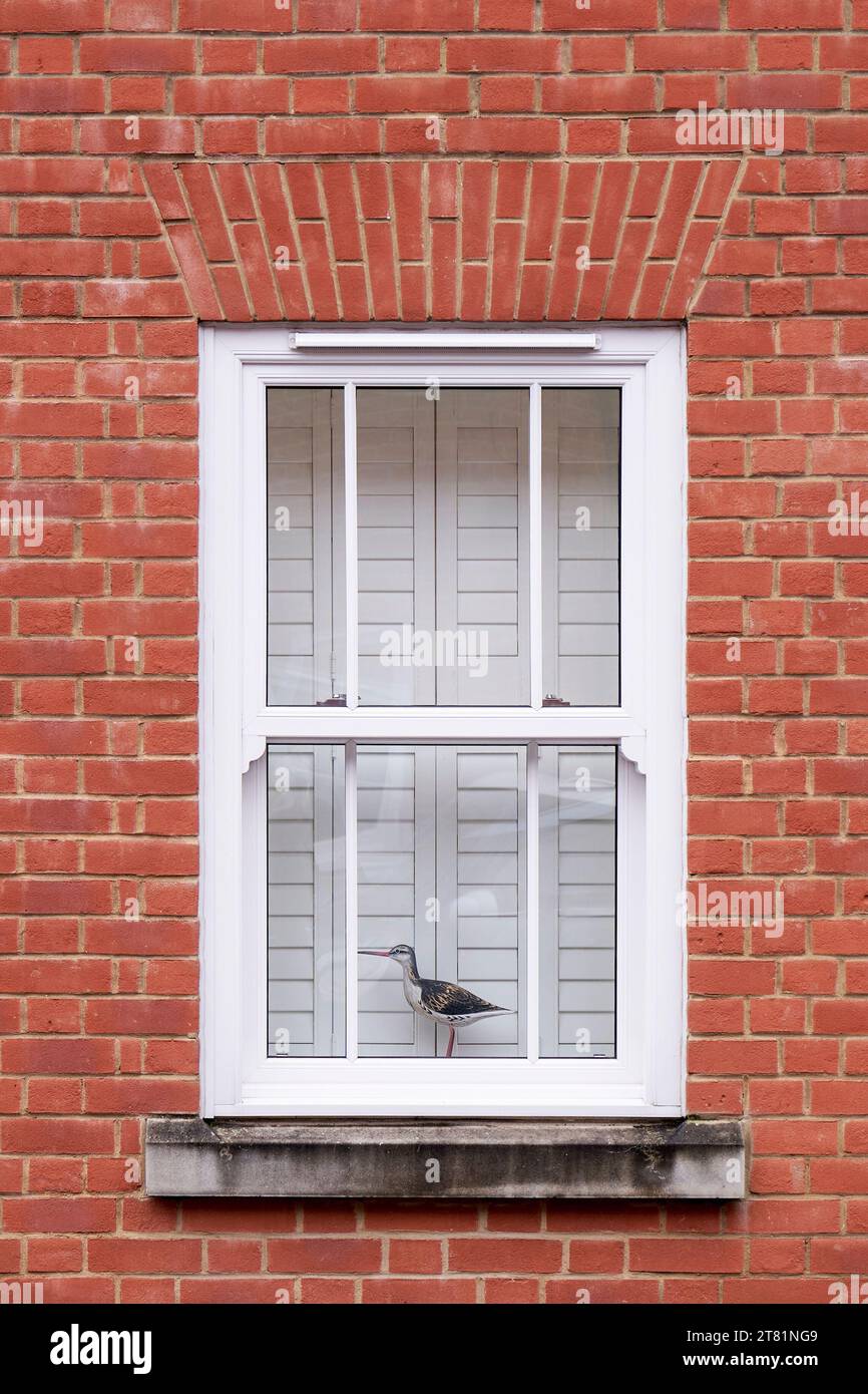 Bird statue in a window Stock Photo - Alamy