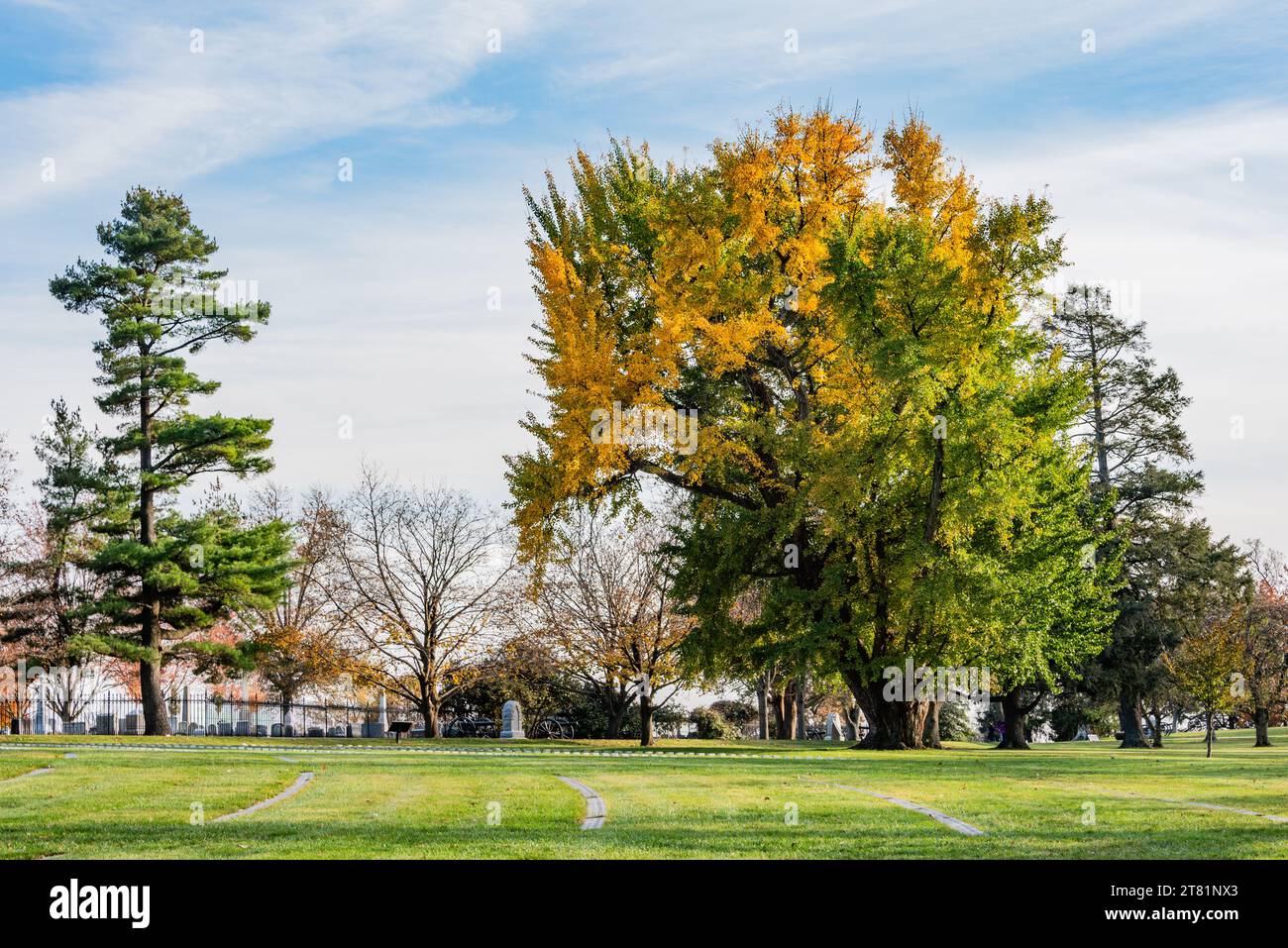 Walking Among the Graves in Soldiers National Cemetery on a Fall ...